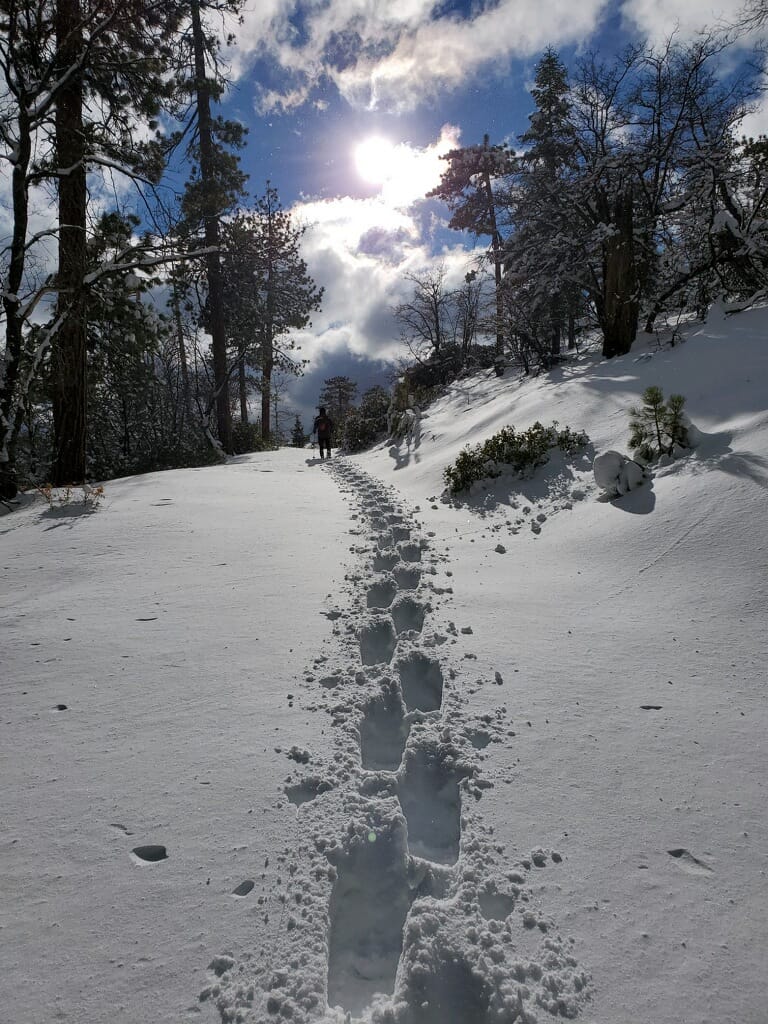 Rim Nordic – XC Skiing and MTB Park